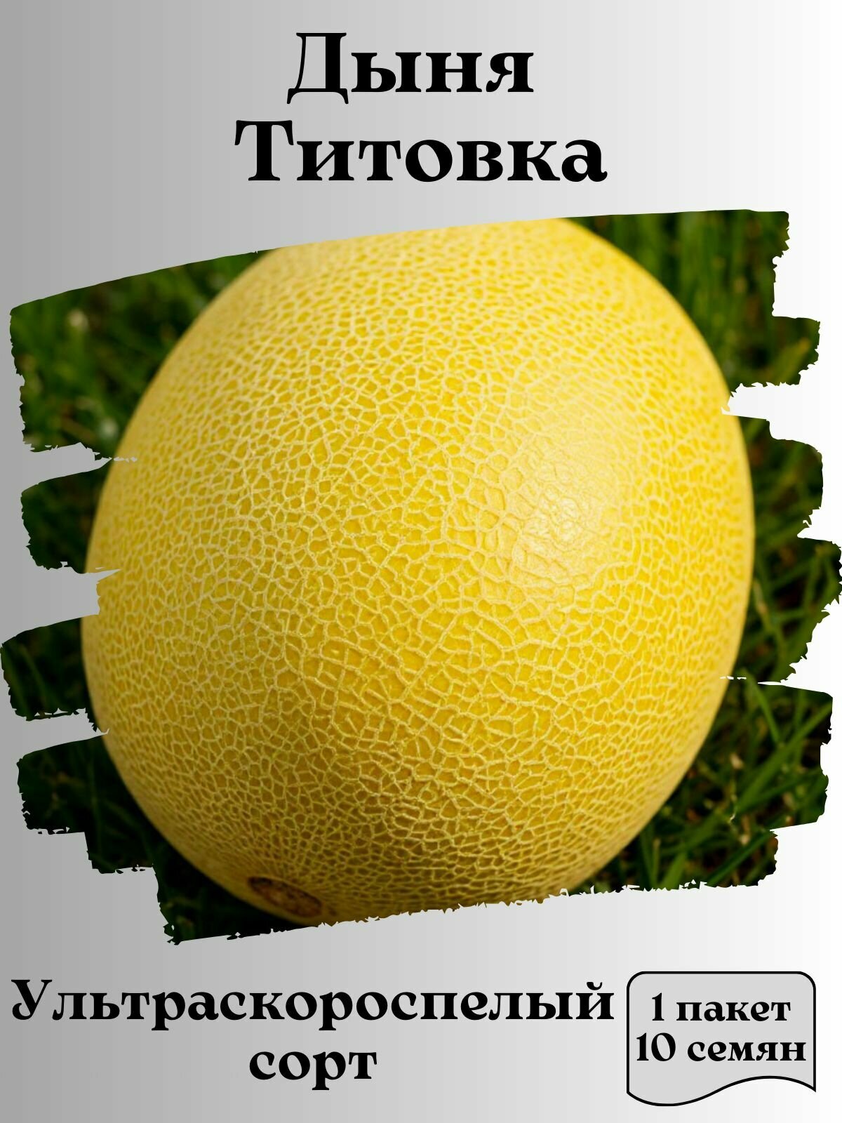 Дыня Титовка, семена, 10 шт, 15 гр.