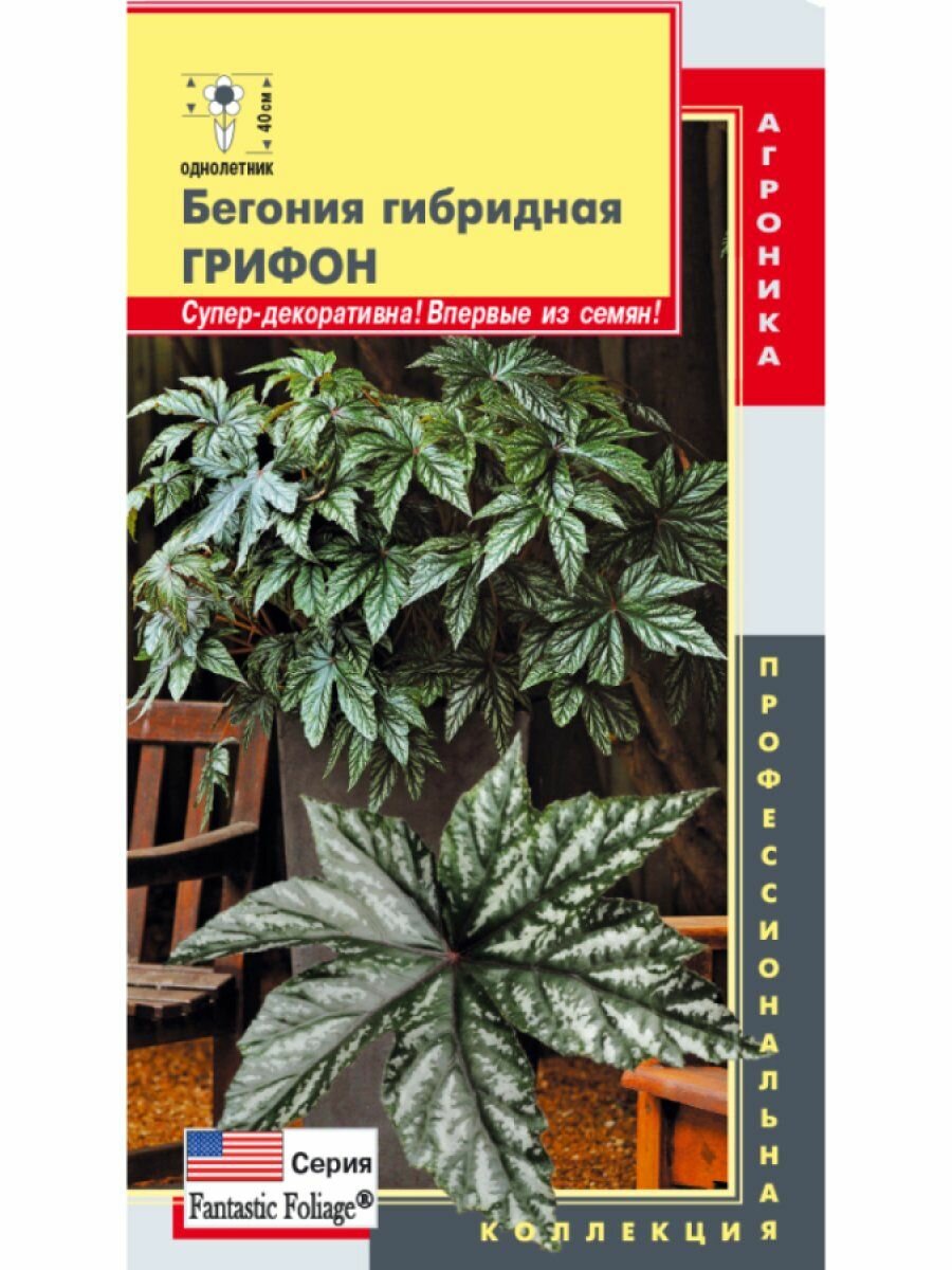 Бегония Грифон гибридная 3 мультидрж в пробирке, Плазменные семена