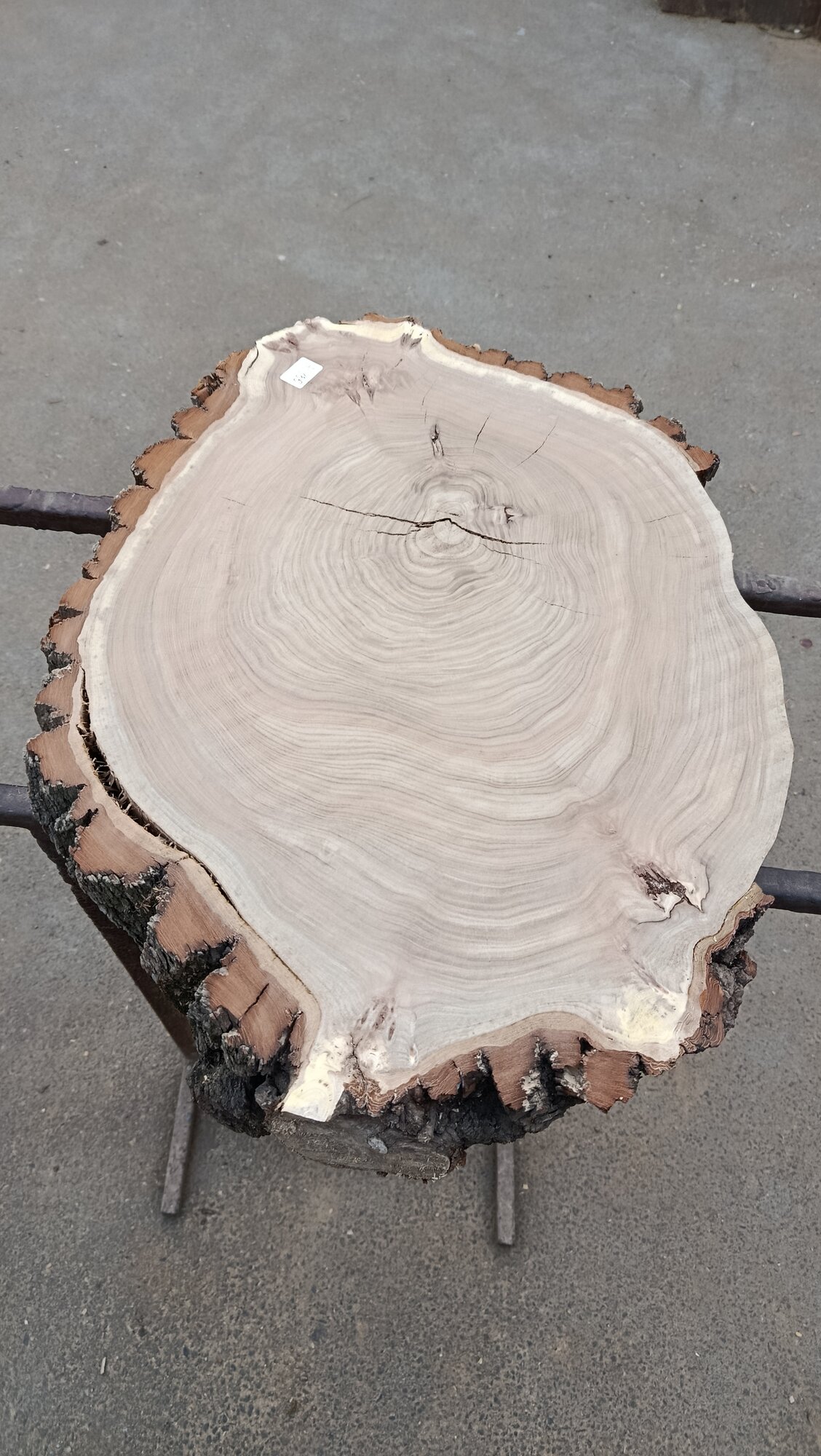 Спил из карагача 60х46х7,5см,(А135)высушенный, фрезерованный дерева