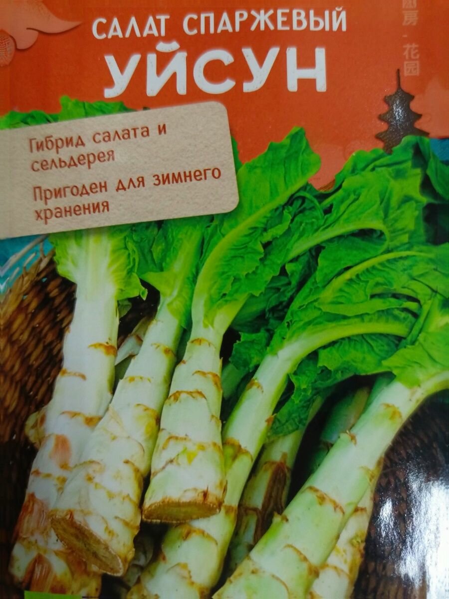 Семена салат спаржевый Уйсун - скороспелый, холодостойкий гибрид сельдерея и салата. Семена Алтая.