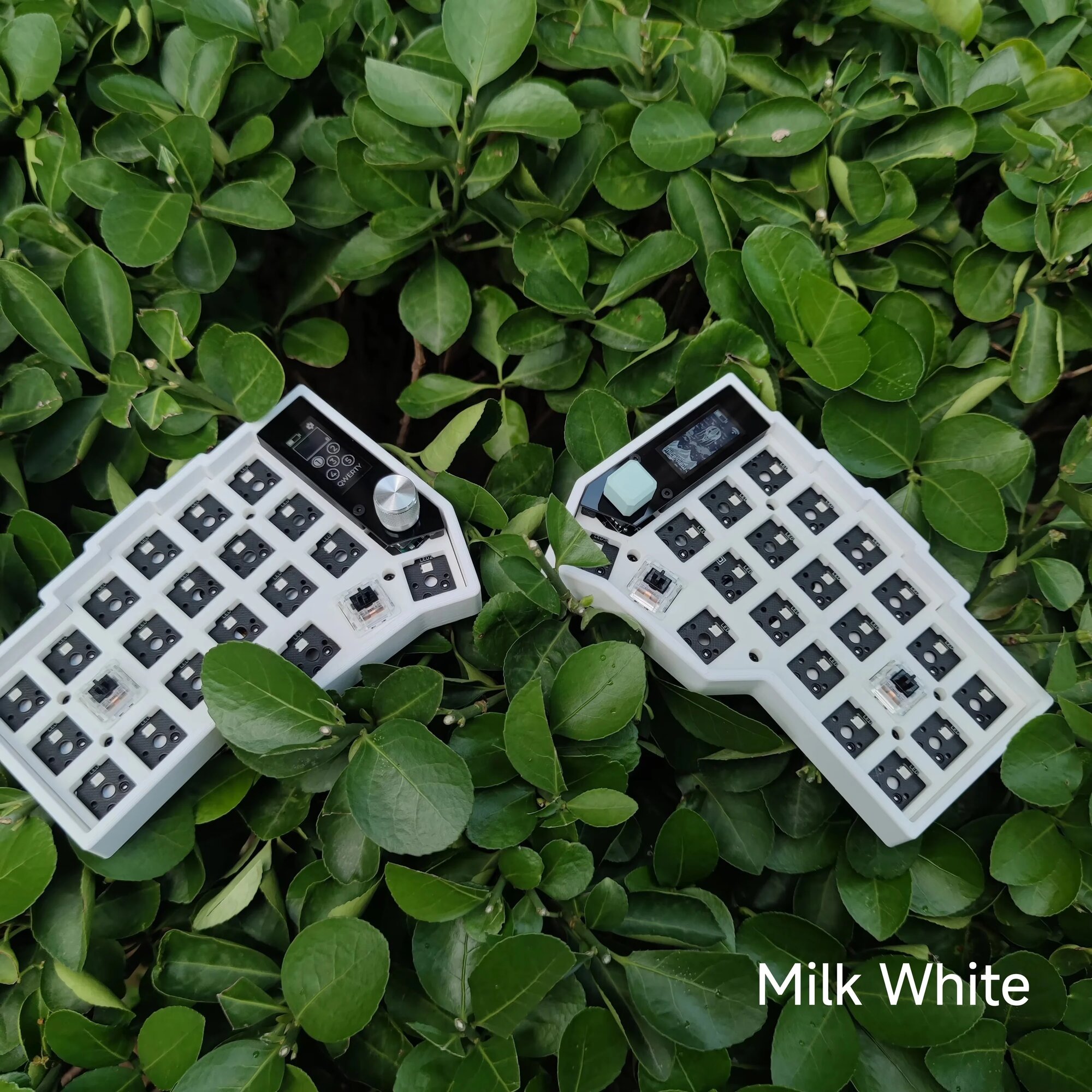 Corne Wireless Split RGB Механическая Клавиатура With oled screen, coren milk white