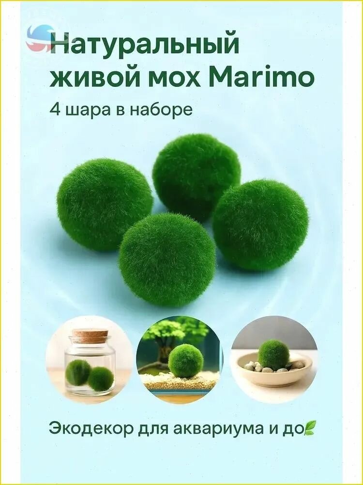 Кладофора шаровидная мох маримо (Aegagropila linnaei) 1см 4шт.