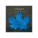 Диск Sinine - Butterflies (1 CD)