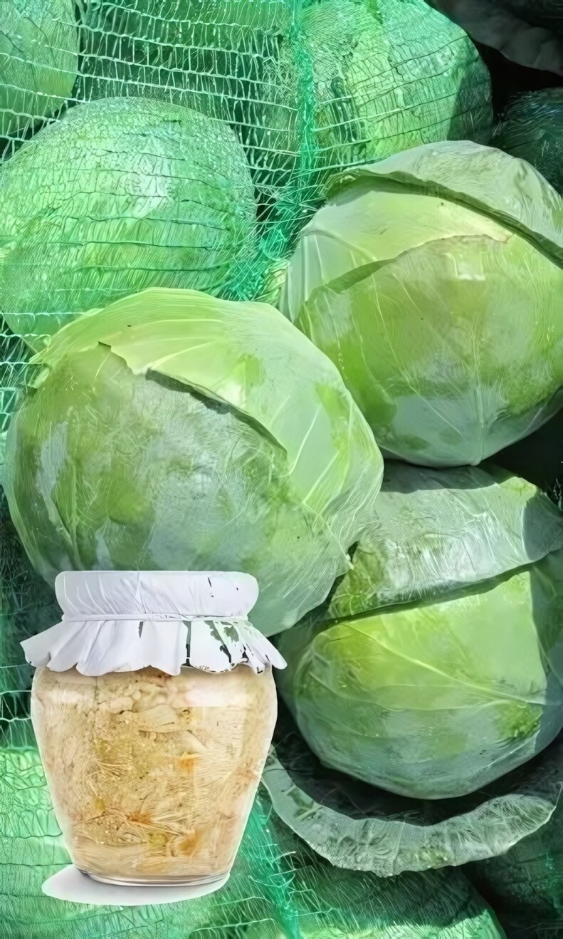 Семена Капуста белокочанная Засолочная 0,3 г «Марс» для квашения и хранения