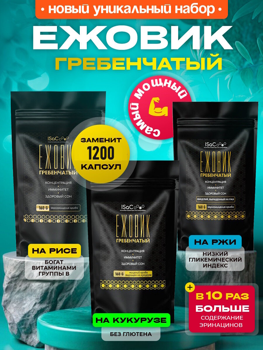 Ежовик гребенчатый набор на разных субстратах кукуруза, рожь, рис