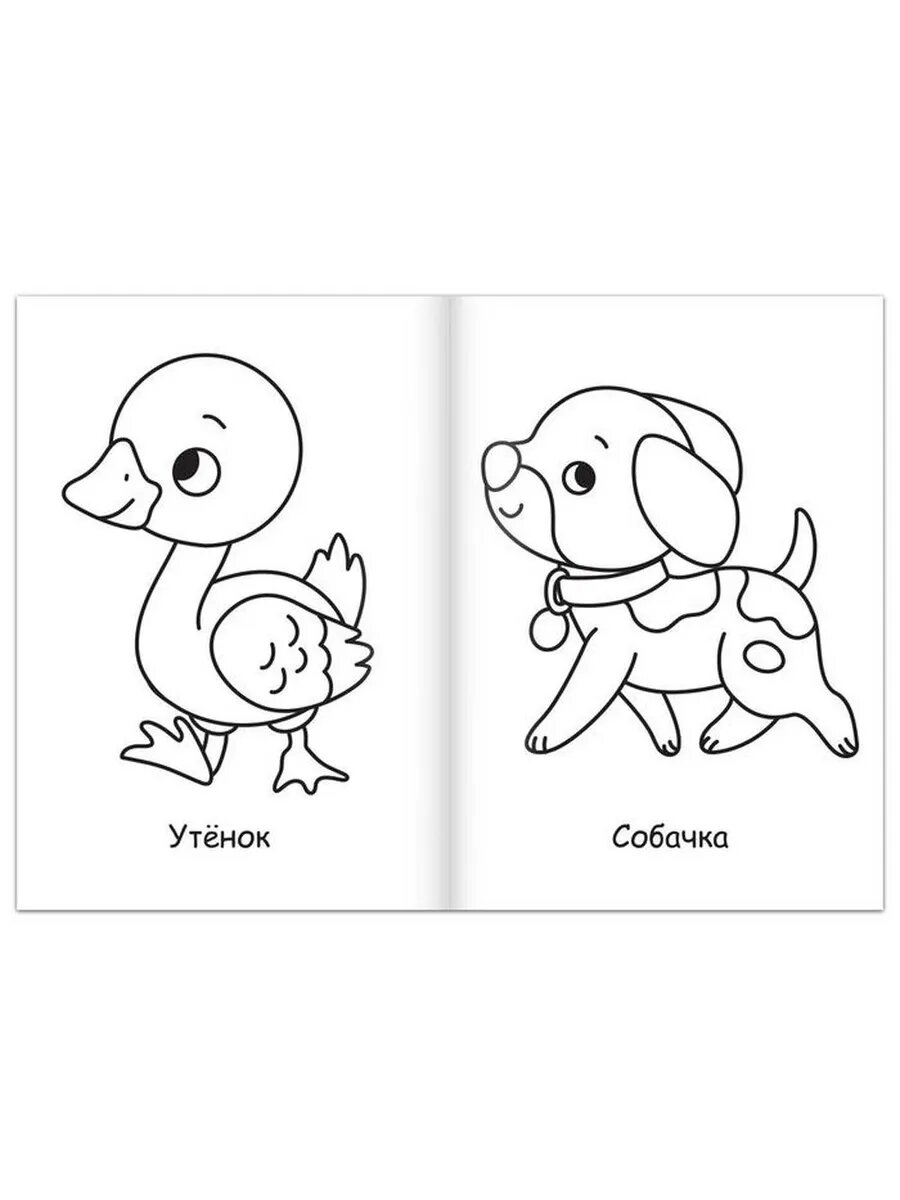 Яркая раскраска для малышей: ферма и лес