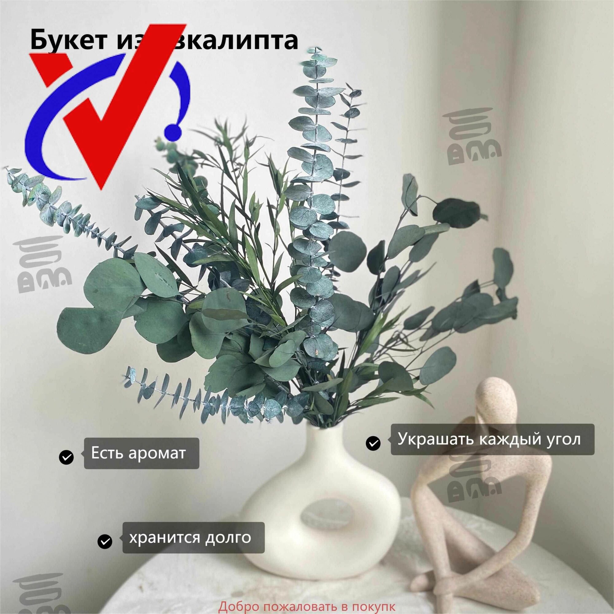 Сухоцветы Slulaoo для декора эвкалипт стабилизированный