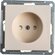 Розетка Systeme Electric WESSEN 59