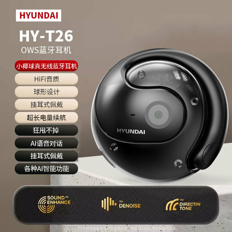 SG Горячие продажи Современные HY-T26pro Умные наушники для чтения и письма Беспроводные Bluetooth наушники с многоязычным переводом Тип с ушным крючком