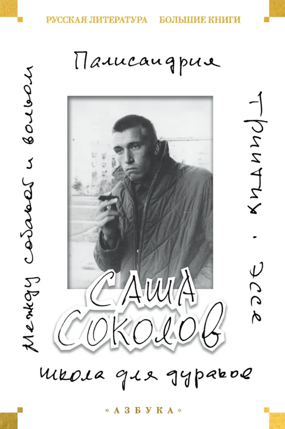 Школа для дураков. Между собакой и волком. Палисандрия. Эссе. Триптих [Цифровая книга]