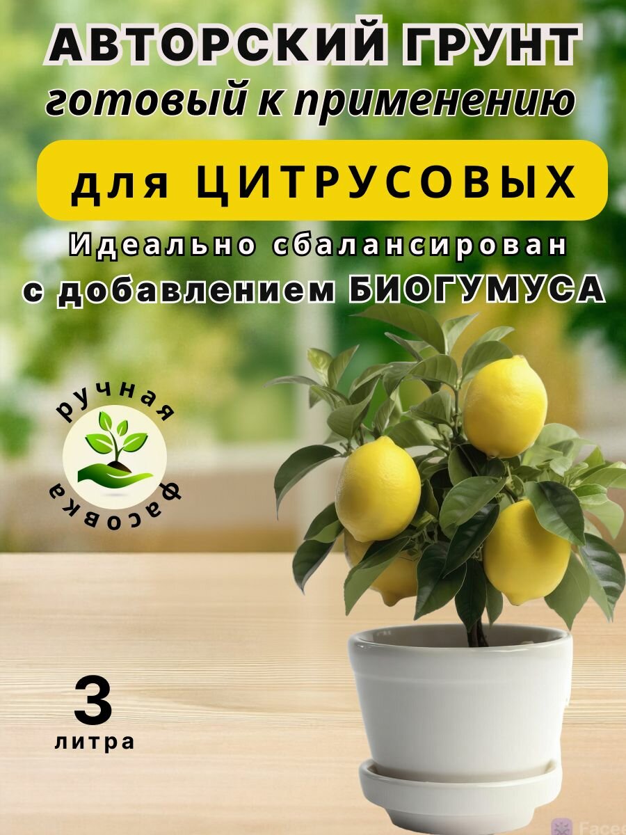 Лучший питательный грунт 3 л. для цитрусовых растений, земля для манго, лимон, авокадо, кофейного дерева.