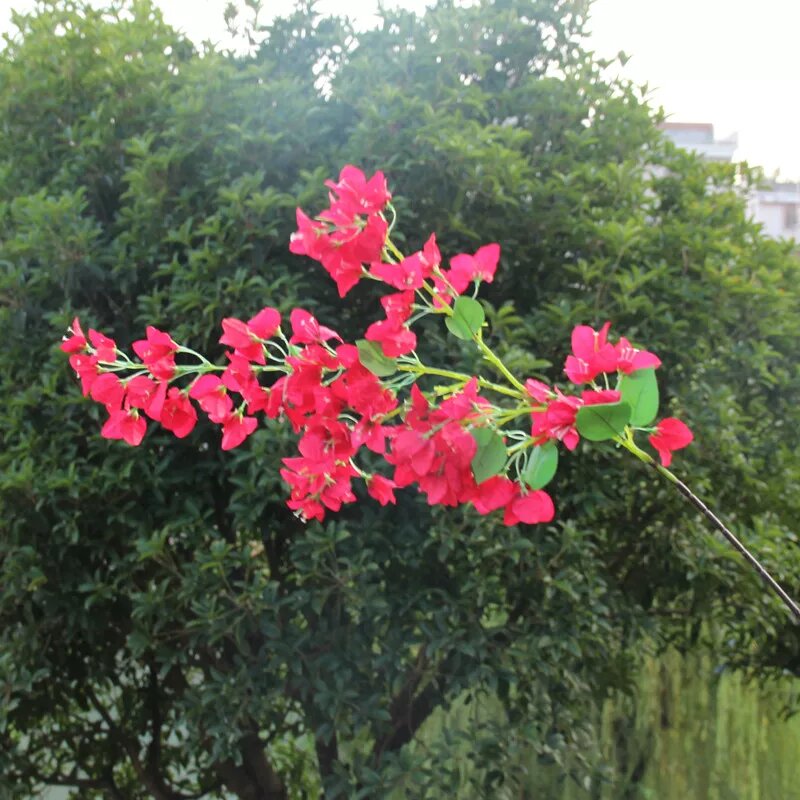 Искусственные цветы бугенвиллии из шелка для украшения дома, декора крыш отелей, фасадов, а также для свадебных