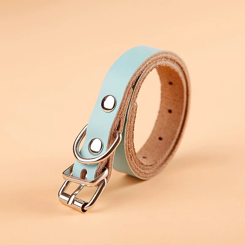 Ошейник из натуральной кожи для собаки среднего размера, маленькая собака, щенок, кошка, ошейник для собаки, Тедди,