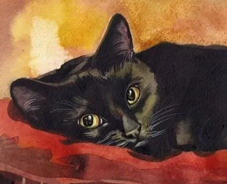 Алмазная Мозаика "Черный Котик" 40х50 См Алмазная Вышивка / Картина Стразами Подарков / Украшения