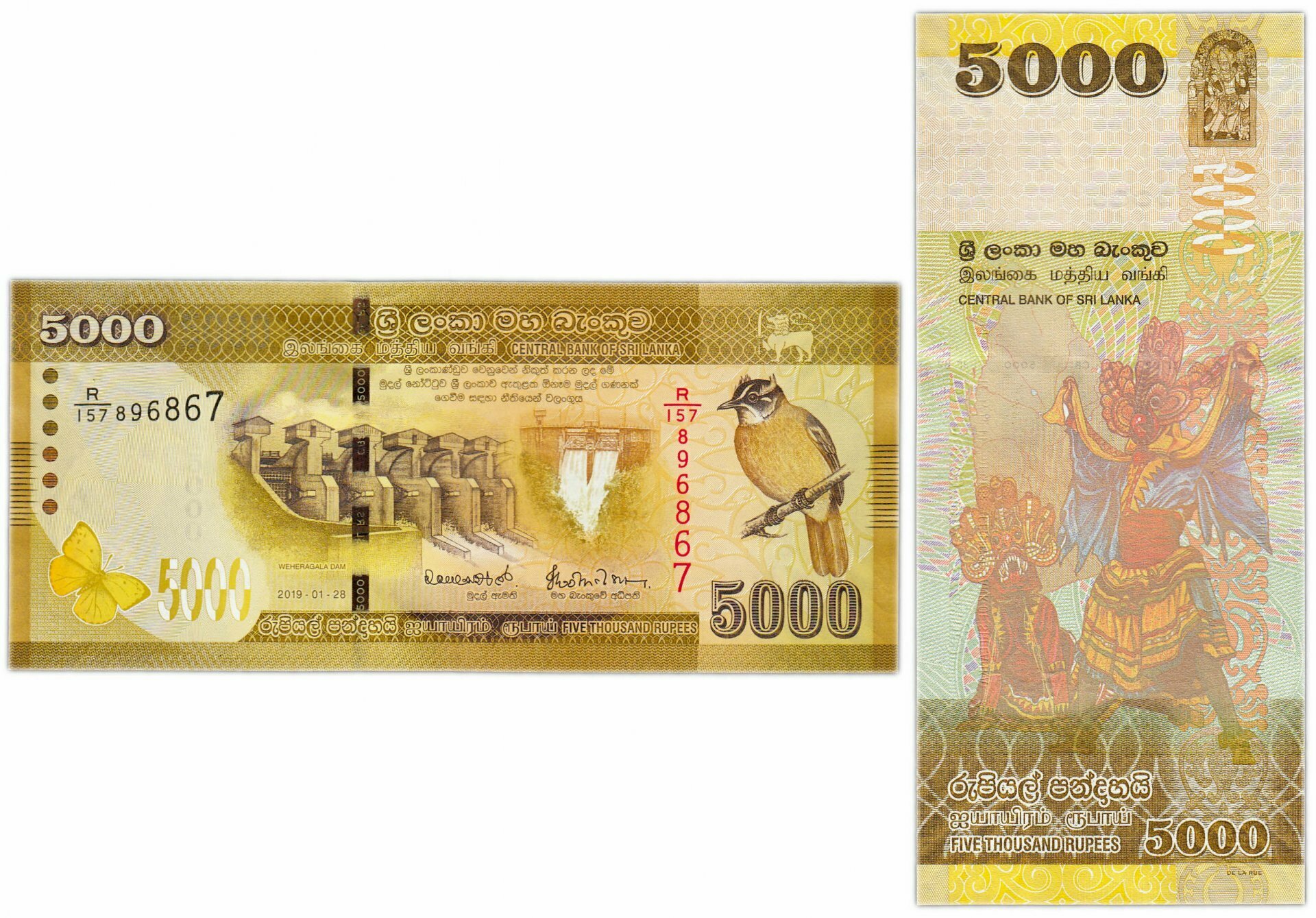 Шри-Ланка 5000 рупий 2019 Плотина Вехерагала Желтоухий Бюльбюль Лимонная бабочка Pick 128e