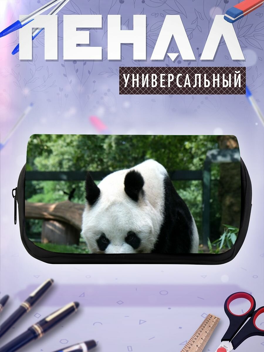 Школьный пенал гигантская панда наземные животные