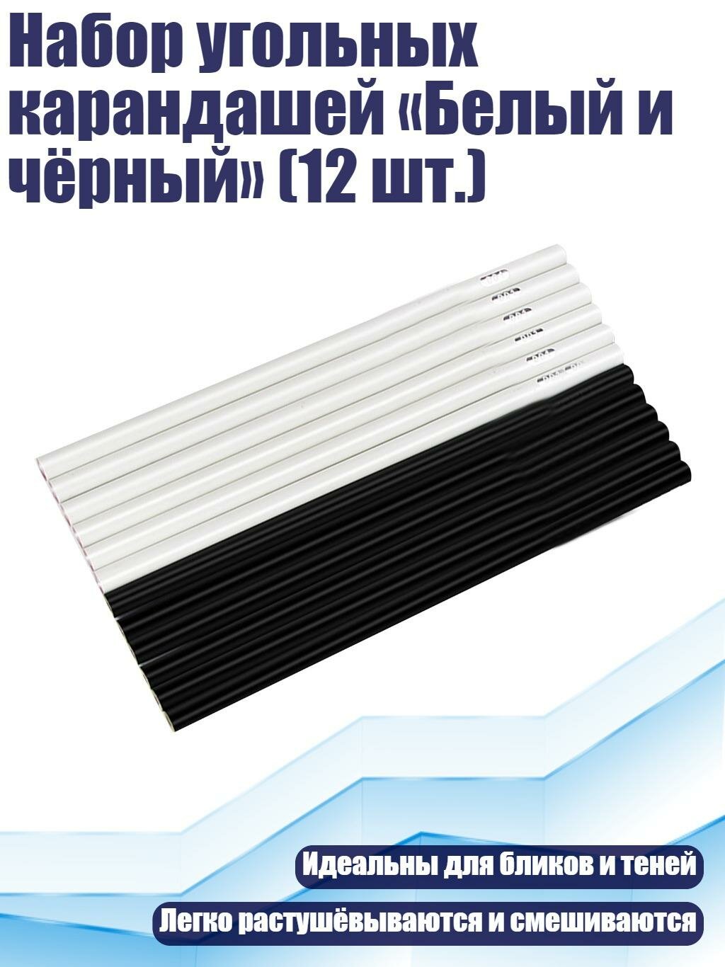 Набор угольных карандашей «Белый и чёрный» (12 шт.)