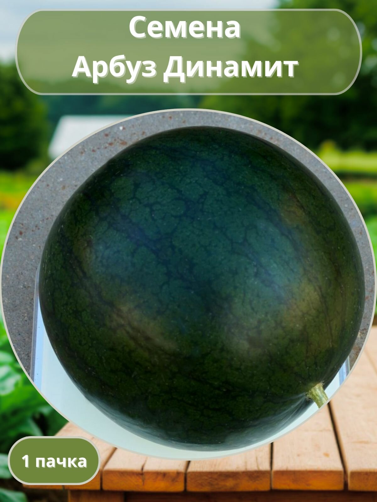 Арбуз Динамит, семена 10 шт