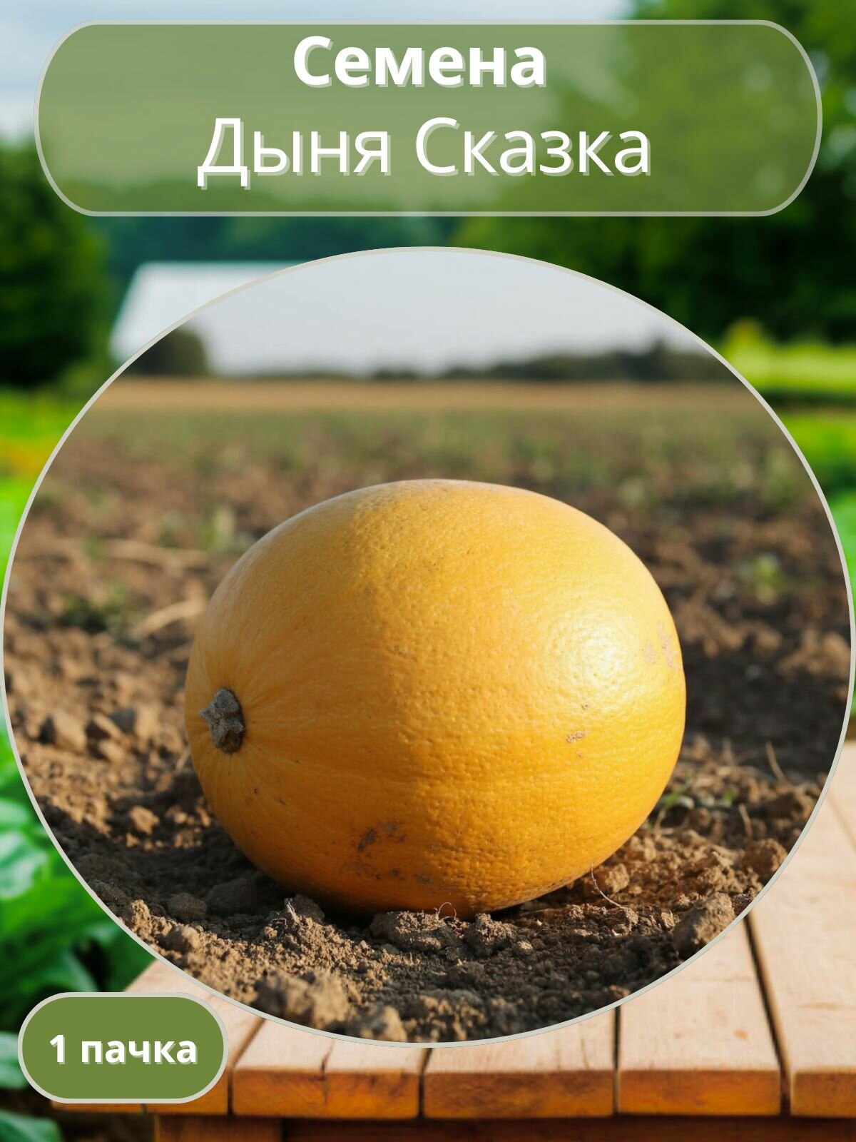 Дыня Сказка, семена 10 шт