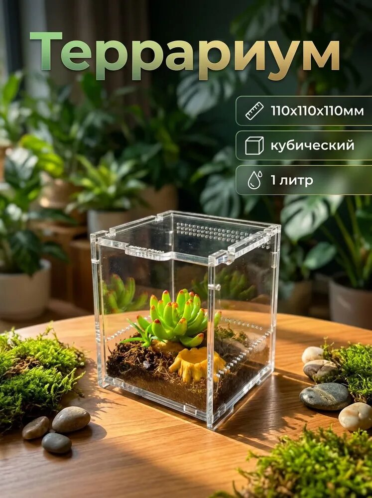 Маленький террариум 11х11х11