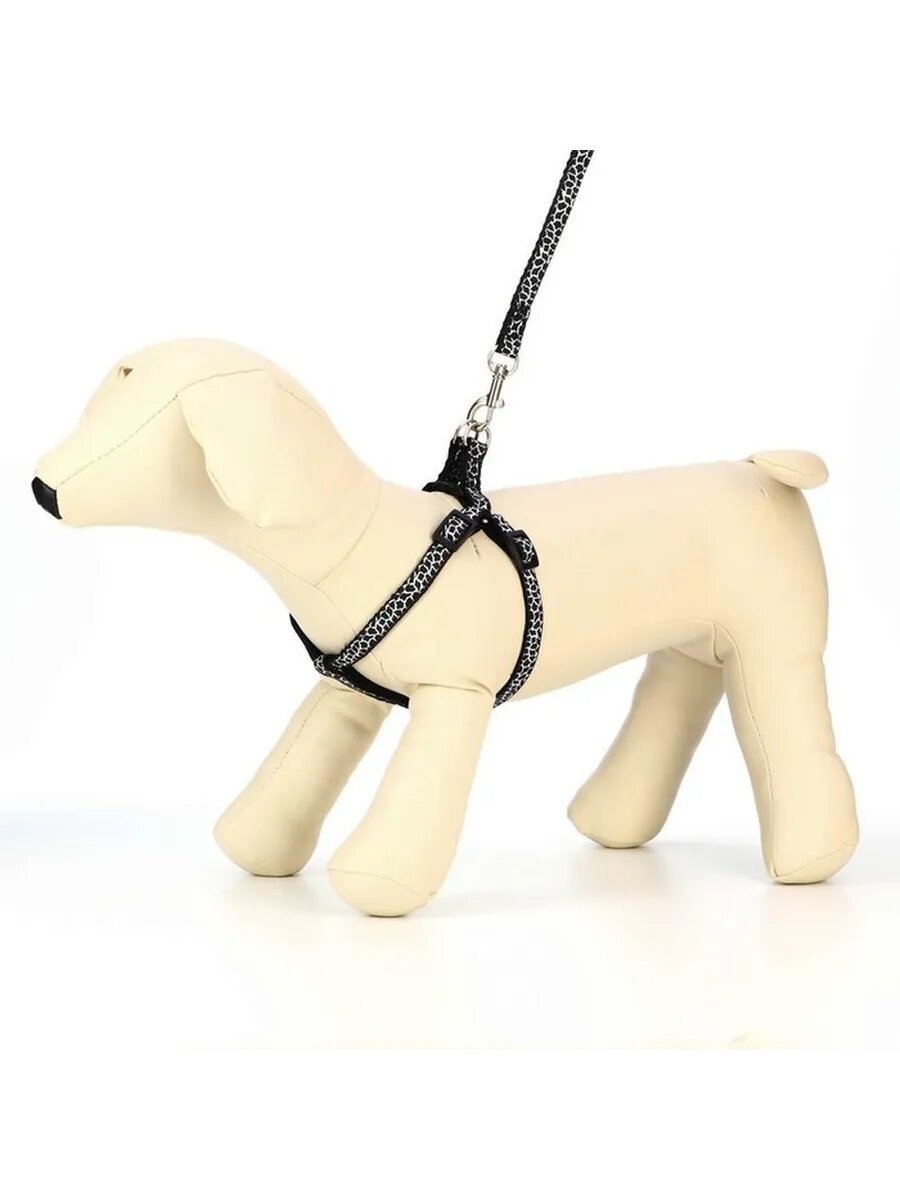 Яркий прогулочный комплект для собаки и кошки