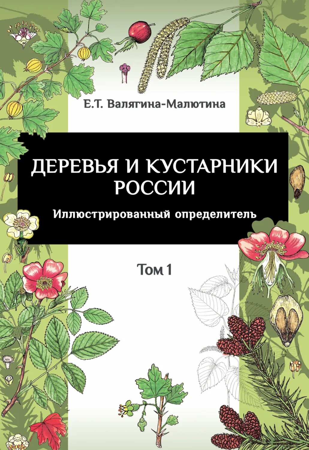 Деревья и кустарники России. Иллюстрированный определитель. Том 1 [Цифровая книга]