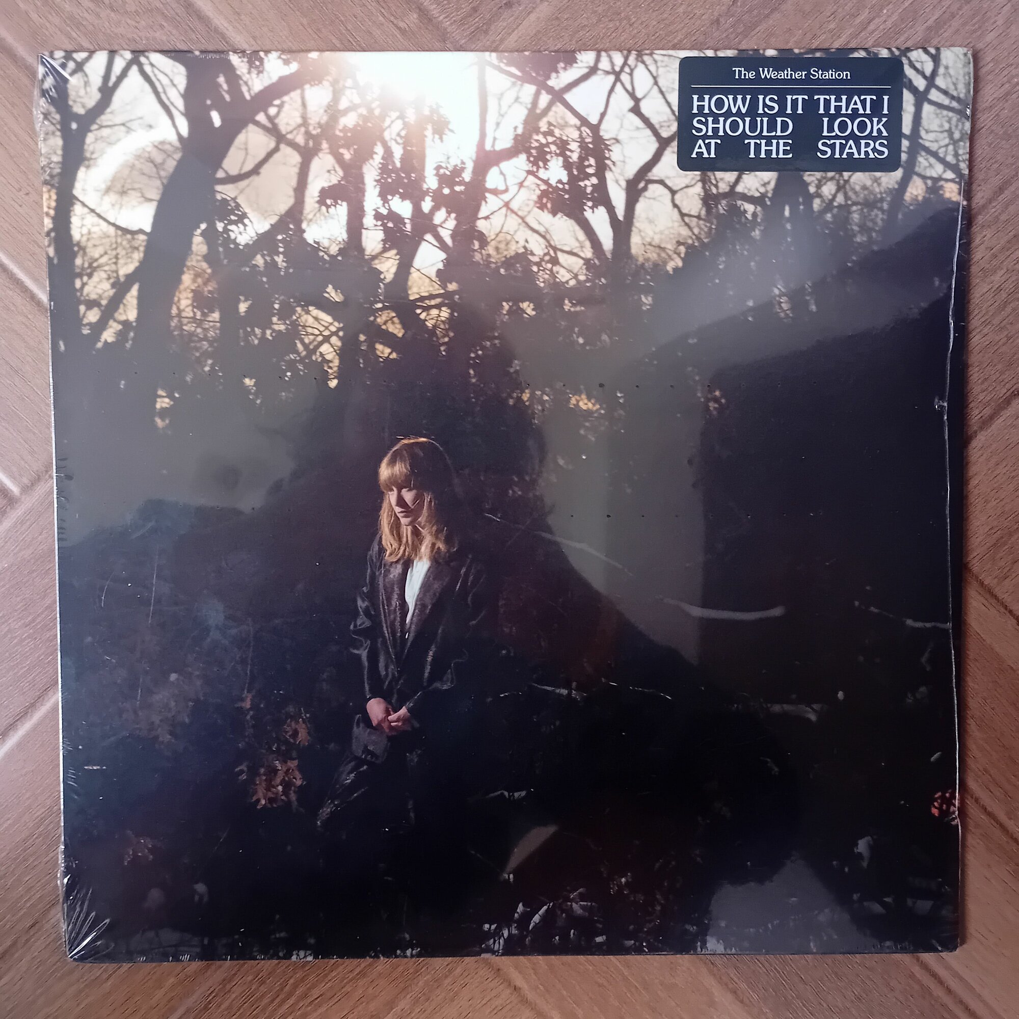 Виниловая пластинка The Weather Station - How Is It That I Should Look At The Stars LP