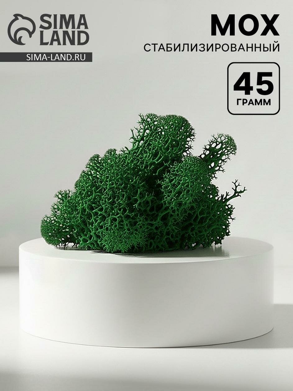 Мох стабилизированный AQUA STORY Дары Сибири «Ель» , 45 г (+-5 г)