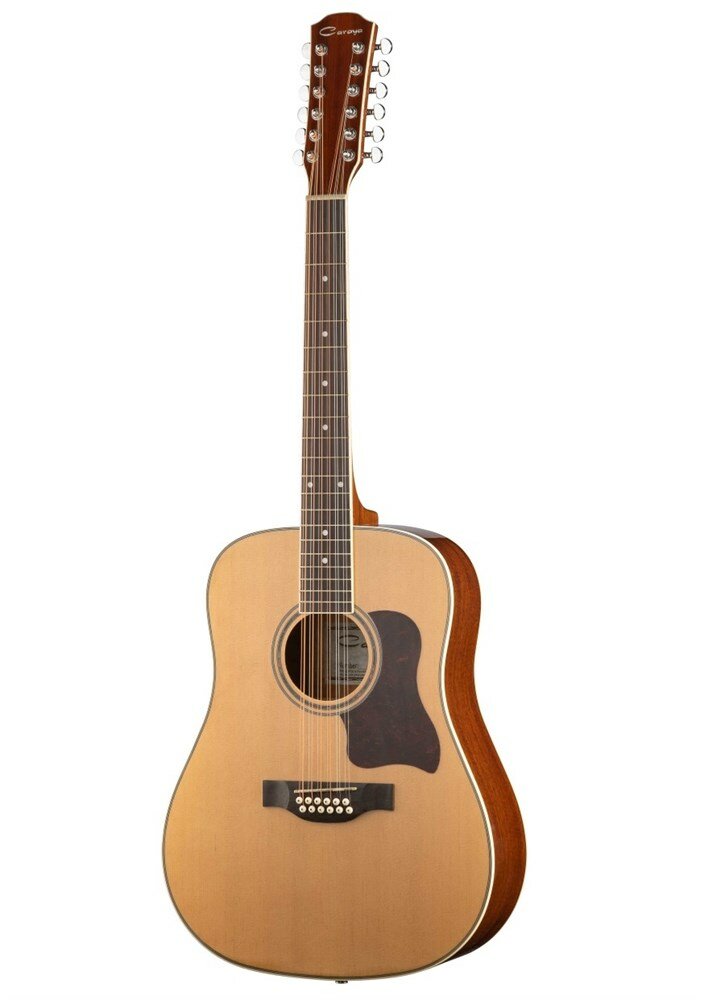 12-струнная гитара Caraya F66012-N
