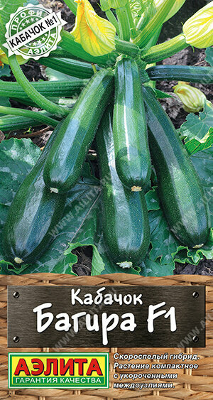 Кабачок цуккини Багира F1