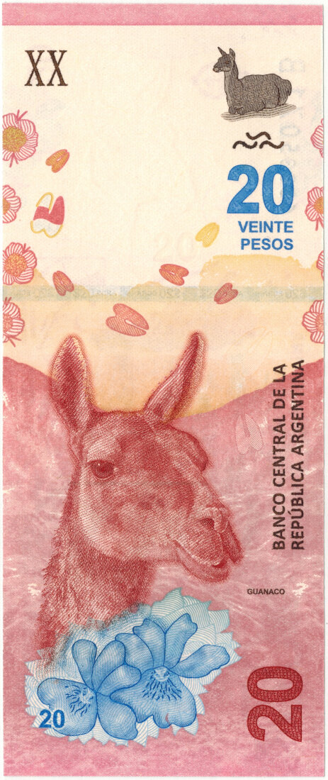 Купюра. Аргентина. 20 песо. 2017 год. Пресс. Без оборота.