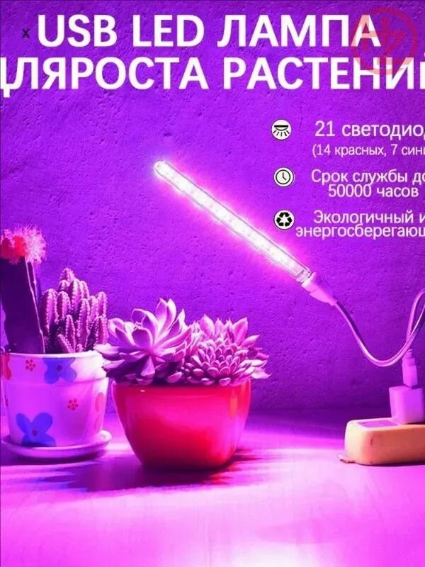 Фитосветильник