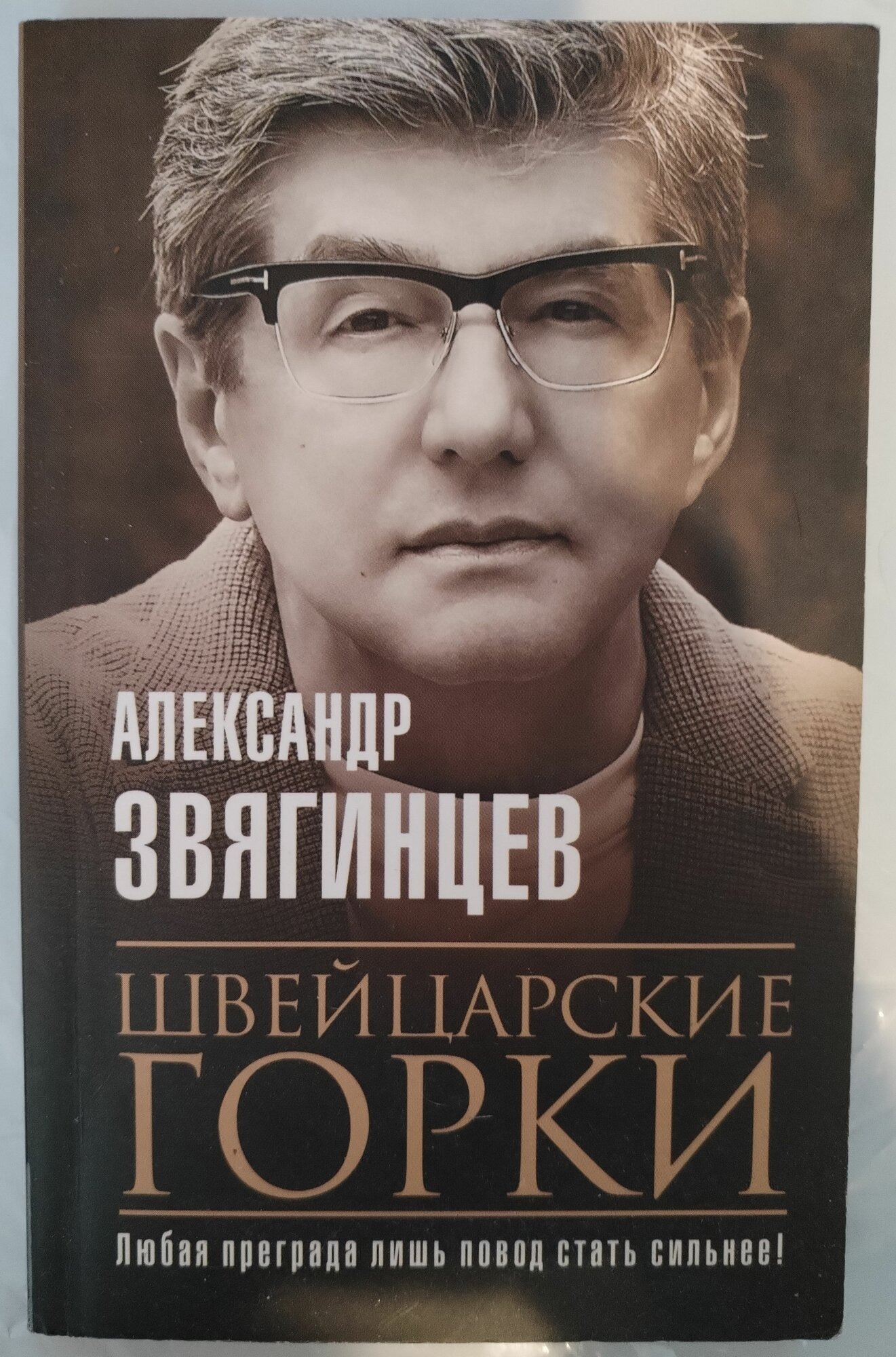Александр Звягинцев. Швейцарские горки.