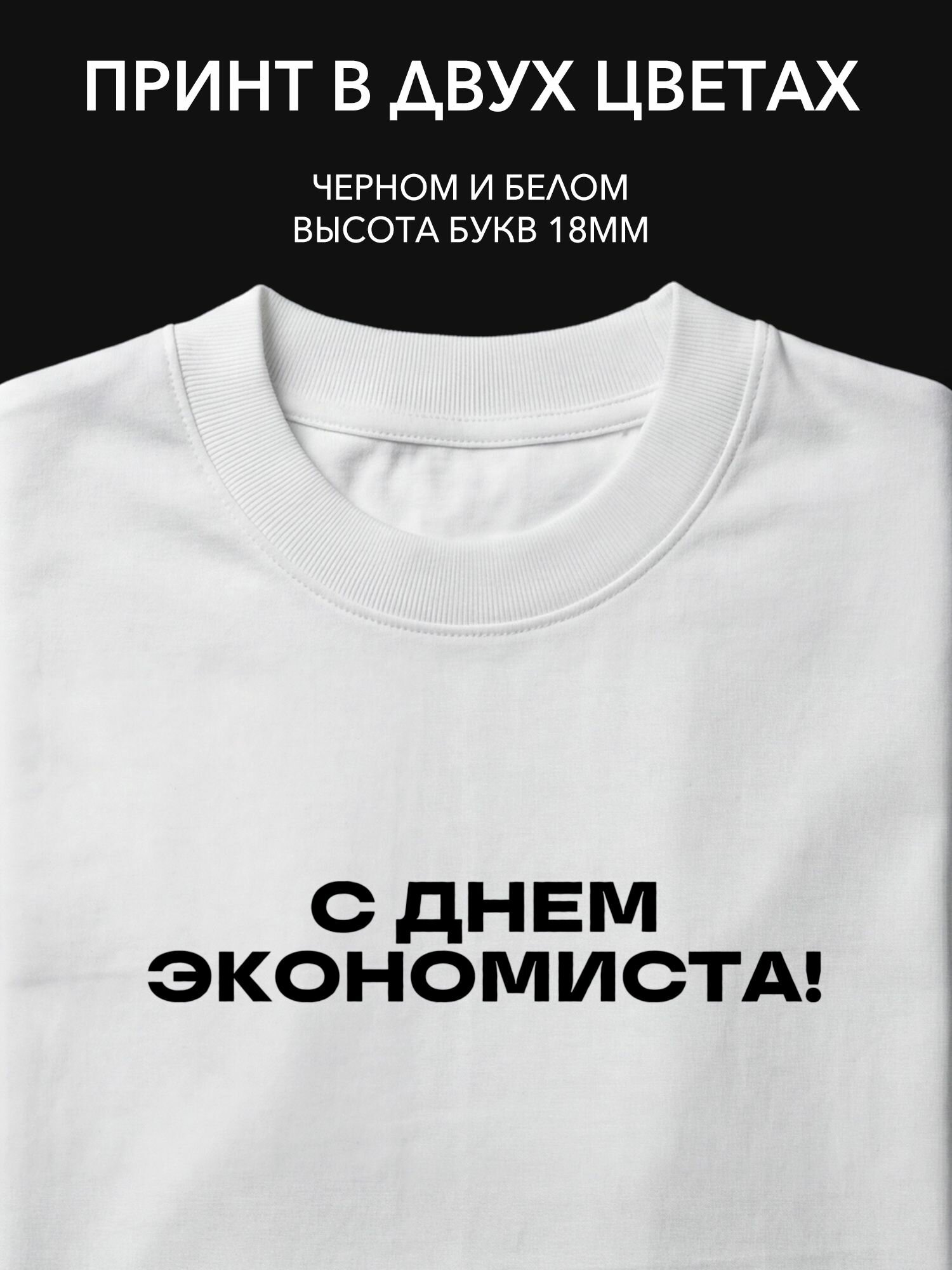 Термопринт "С Днем Экономиста!" для одежды стильный текстовый принт на футболку, худи или свитшот для офиса и работы.