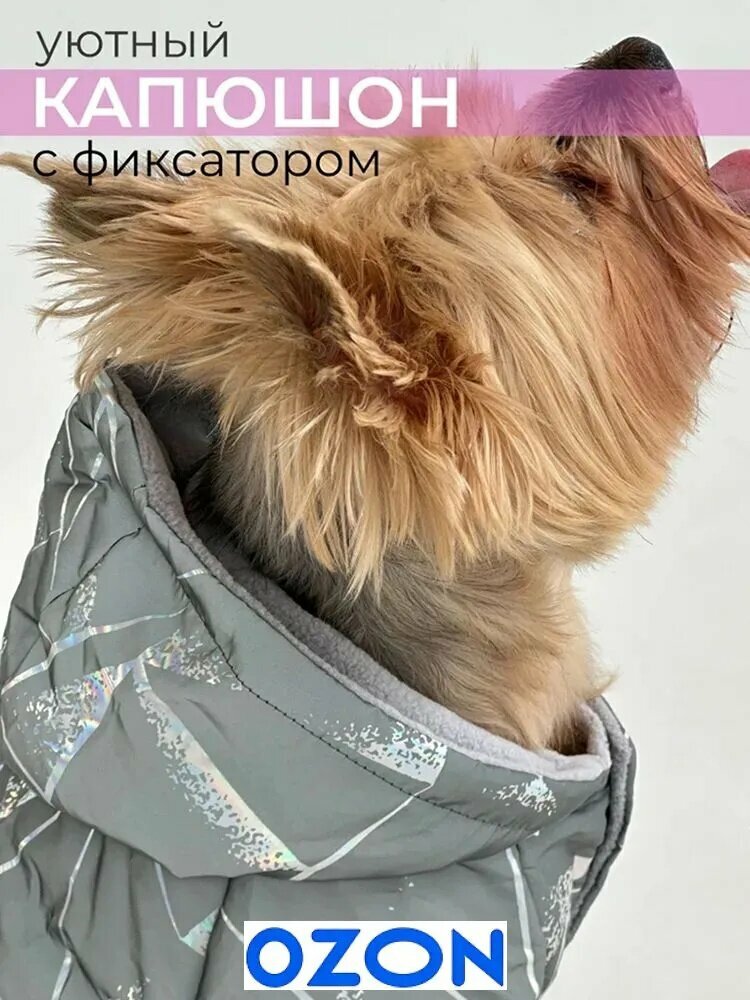 Одежда для животных — фото 1
