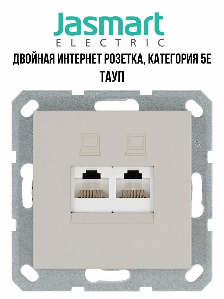 Интернет-розетка RJ45 категория 5е с накладкой jasmart