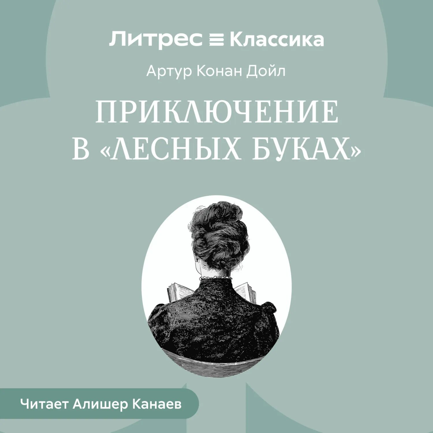 Приключение в «Лесных Буках» [Аудиокнига]