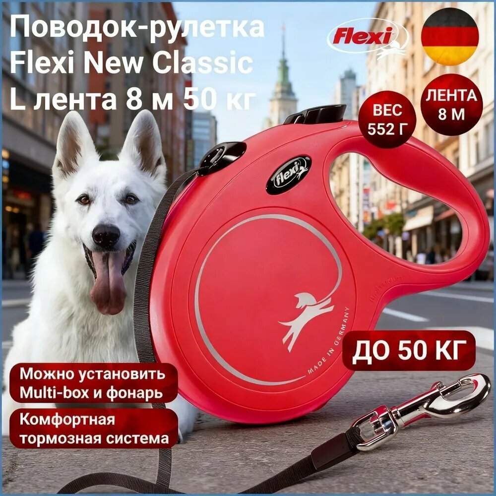 Поводок