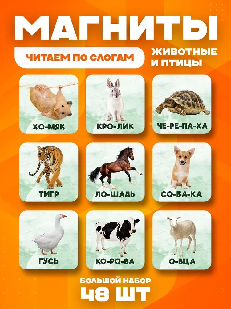 Развивающие и обучающие магниты азбука