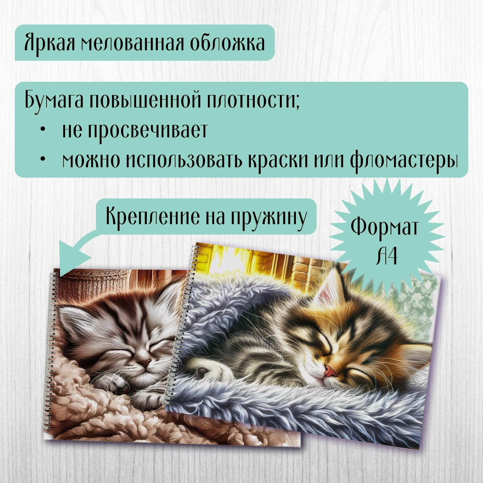 Альбомы для рисования Котики — фото 1