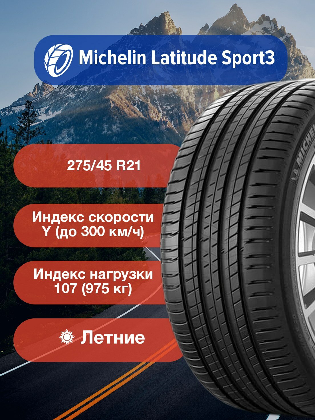 Легковые Летние Шины Michelin Latitude Sport3 275/45 R21 107Y Michelin MO-S Acoustic-999631 для легковых автомобилей и кроссоверов