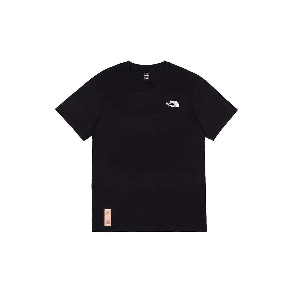 Футболка THE NORTH FACE 527179156