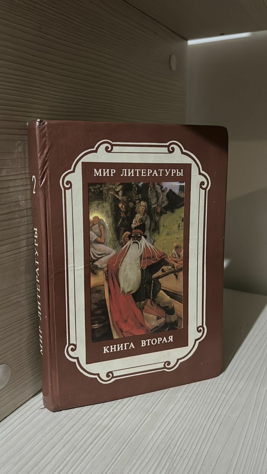 Мир литературы Книга 2