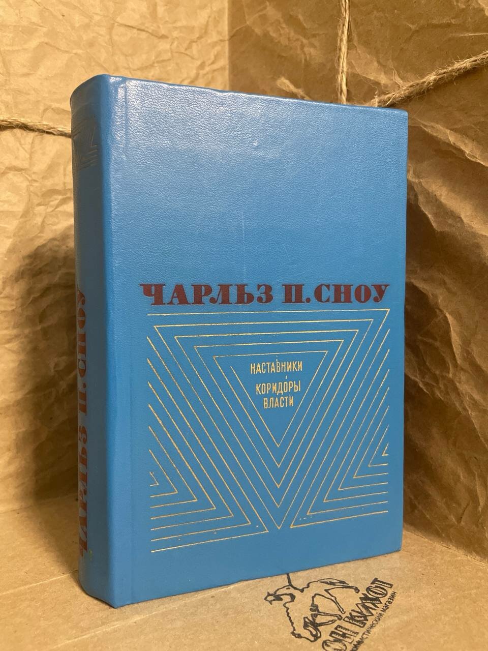 Наставники. Коридоры власти