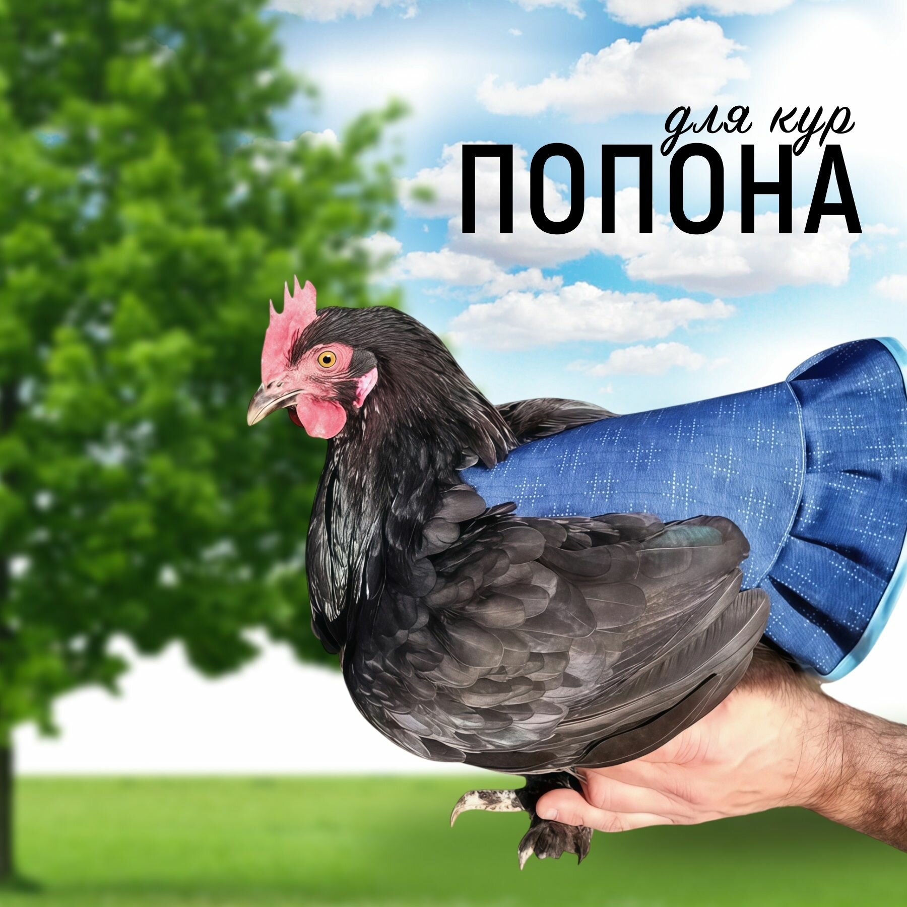 Попона для кур с юбкой