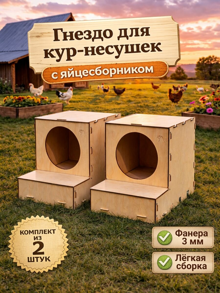 Гнездо для кур-несушек с яйцесборником