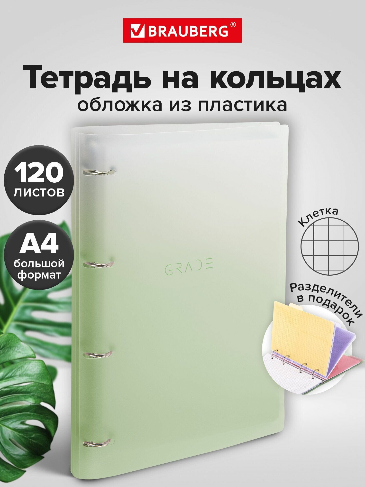 Тетрадь на кольцах со сменным блоком А4 305х230 мм, 120 листов с разделителями, Brauberg, Зеленый