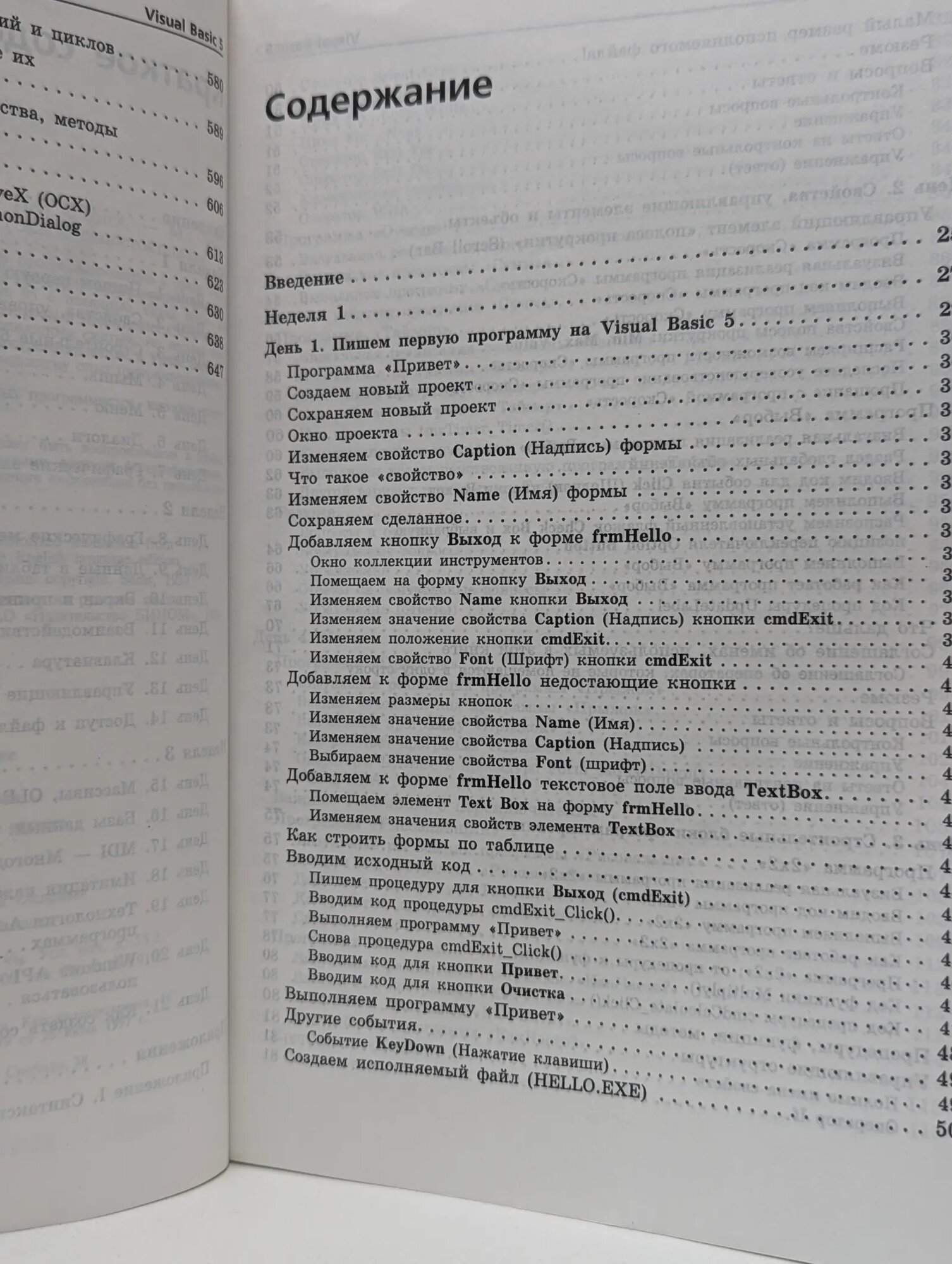 Visual Basic 5 Гуревич Натан, Гуревич Ори 1998 — фото 1