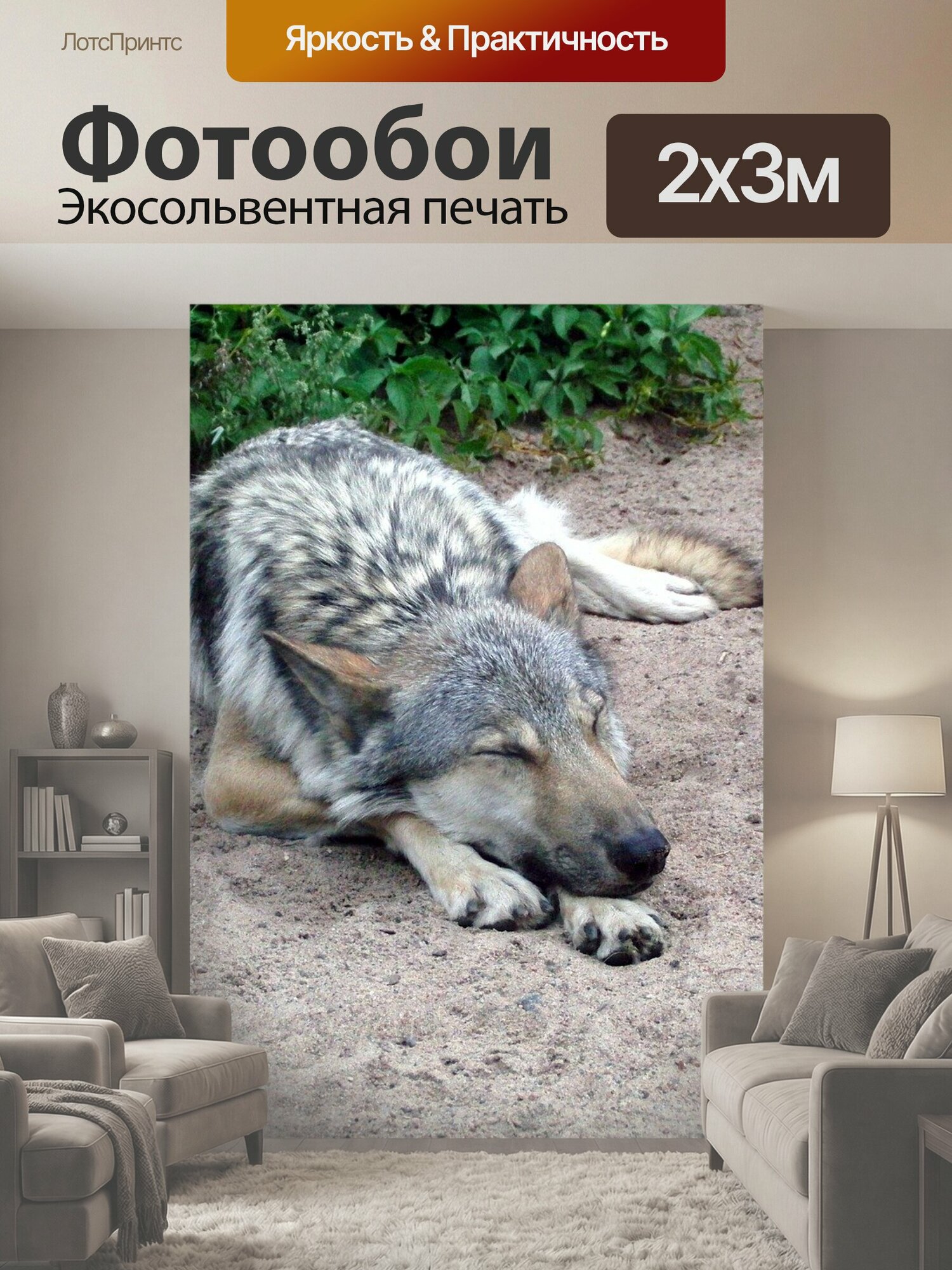 Фотообои "Волк, серый волк, canis lupus" 200x300 см. экосольвентная печать