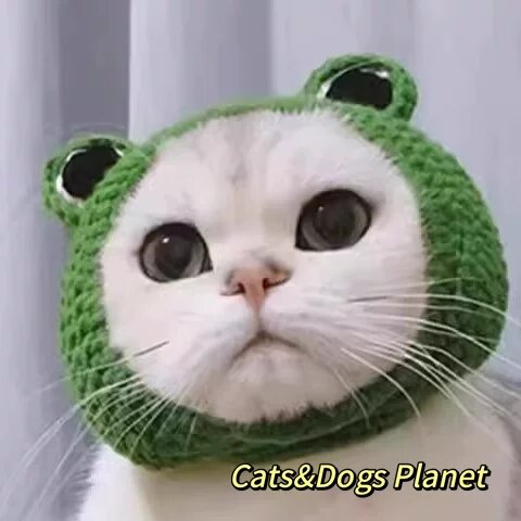 Шапочка с большими глазами для лягушки собак и кошек S размер (рекомендуется для животных до 5 фунтов)